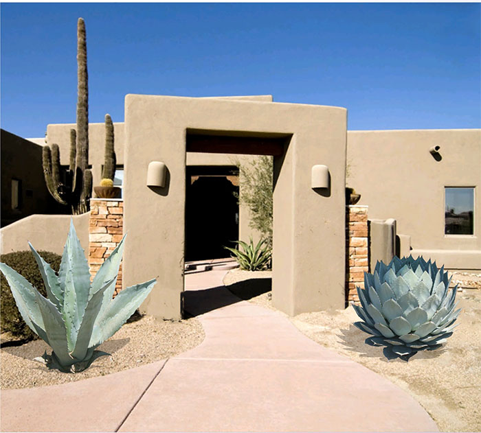 Parry s Agave Plant Guzman s Garden Centers Desert Landscaping Plant